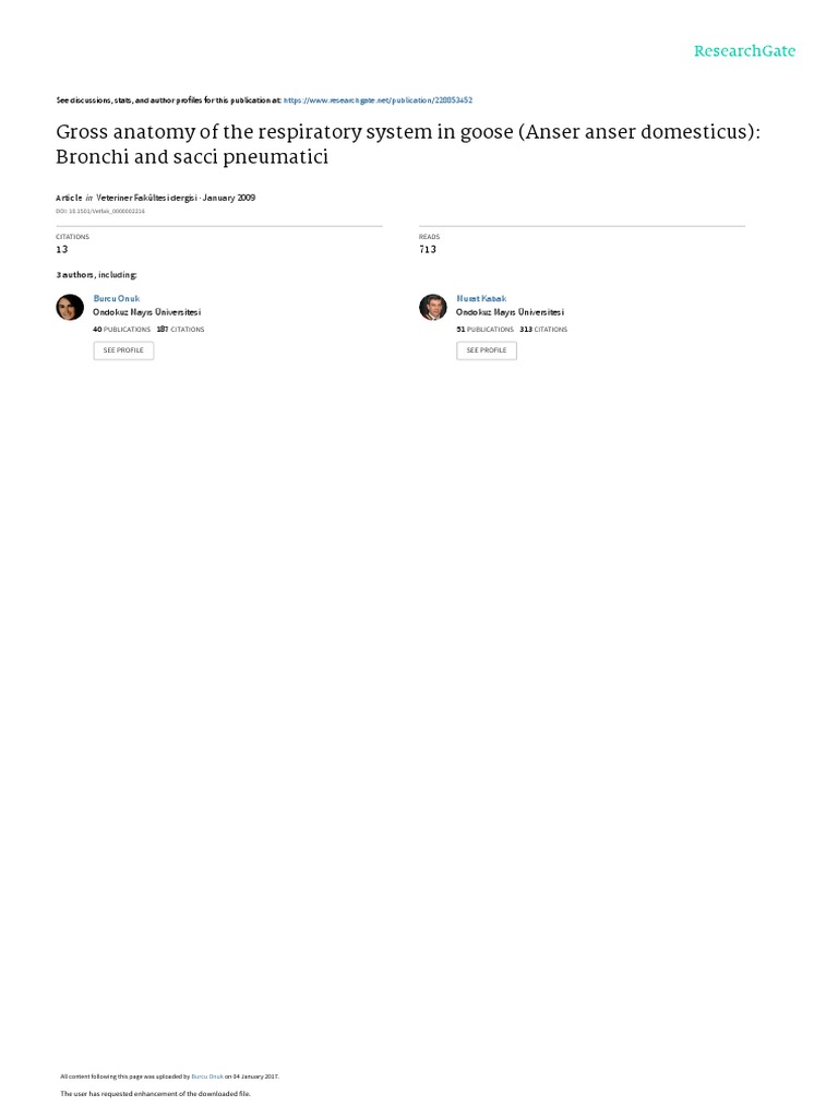 Jurnal 1 - Saccus Pneumaticus | PDF | Lung | Thorax (Human Anatomy)