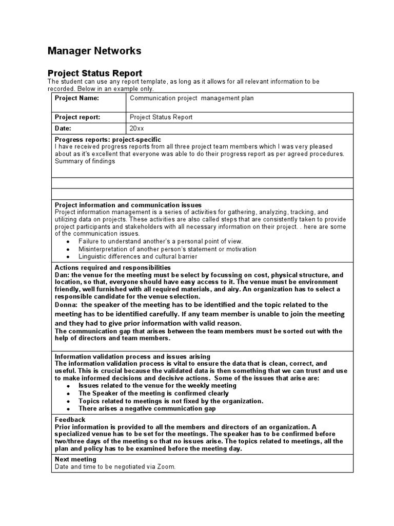 Manager Networks Report Template | PDF | Communication | Information