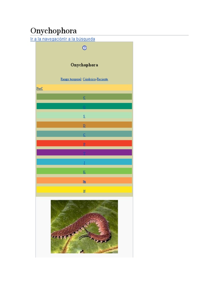 Onychophora | PDF | Zoología | Taxa
