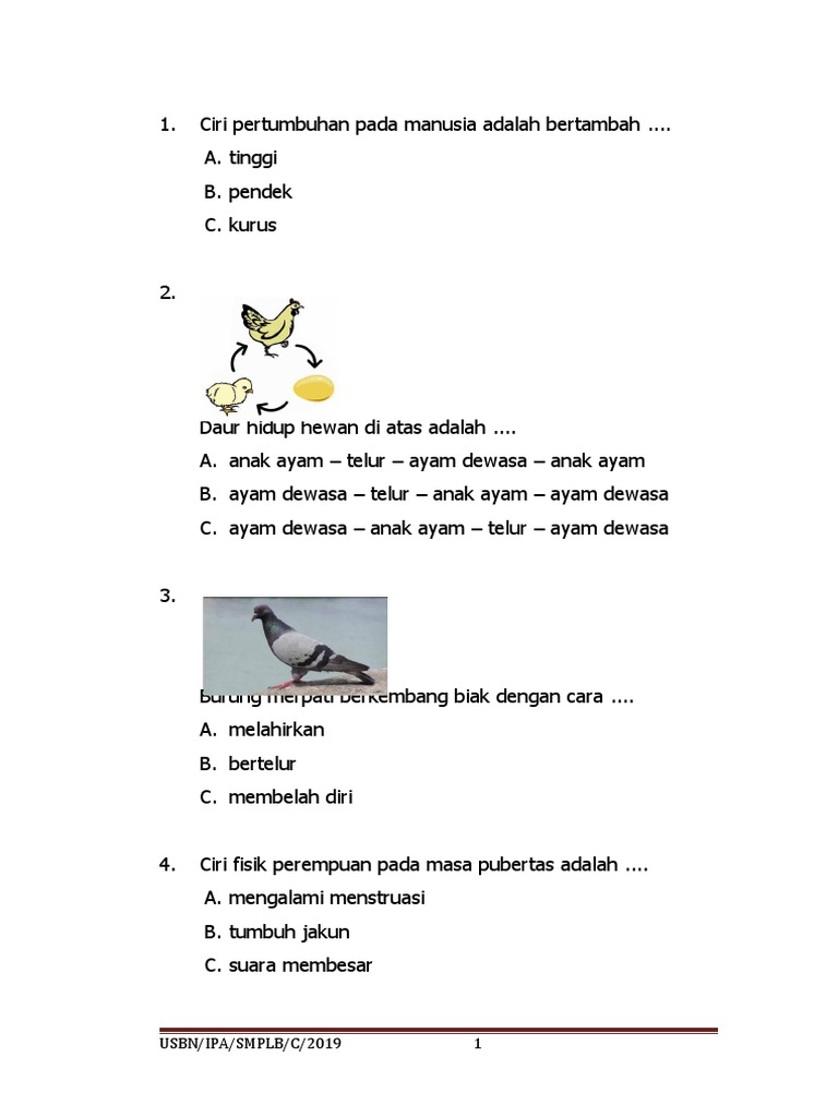 SOAL UJIAN SMPLB Tunagrahita IPA | PDF