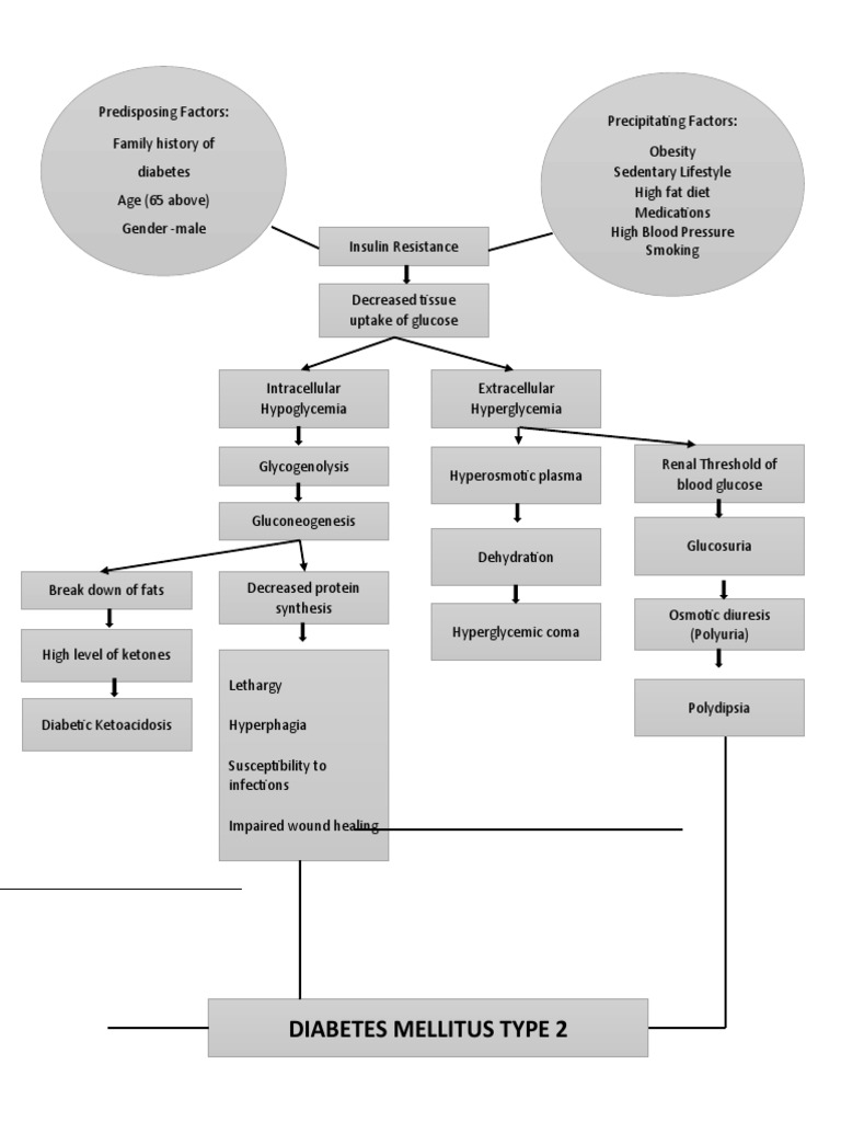 PATHO DM Type 2 | PDF