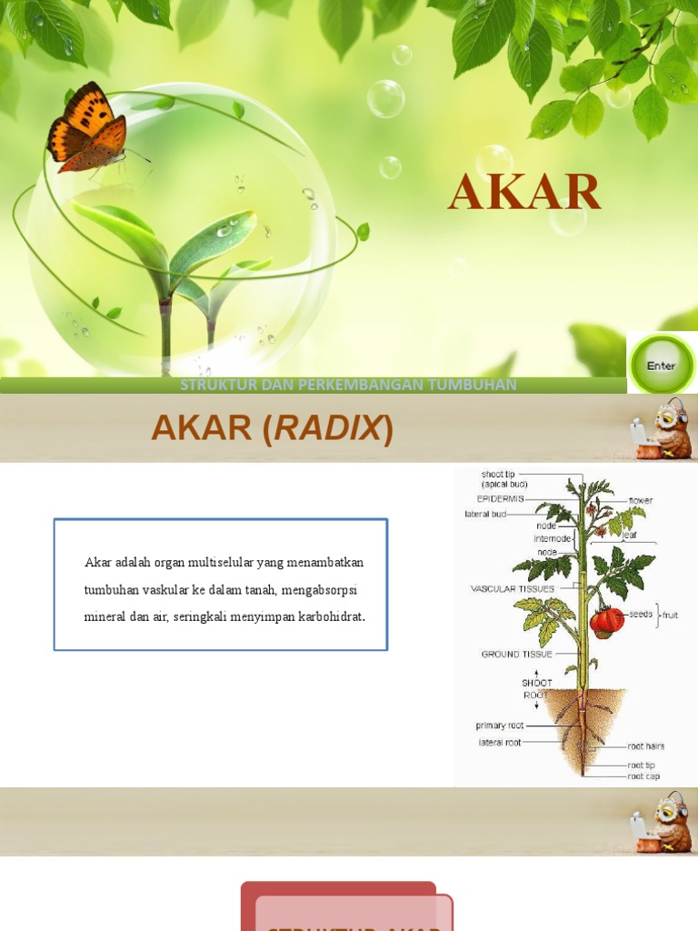 Akar Radix | PDF | Seni & Disiplin Bahasa | Griya & Taman