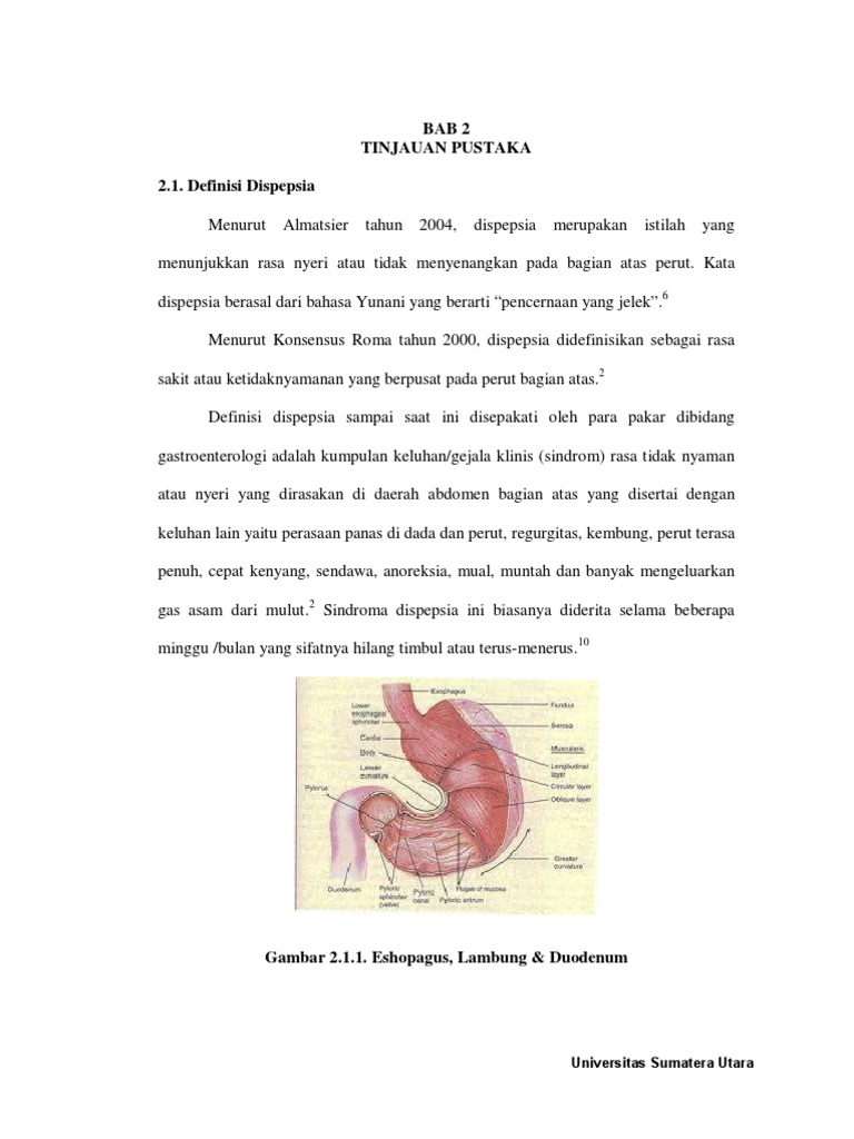Pencegahan Dispepsia Usu | PDF
