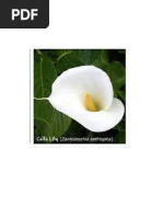Evolution of Communication Methods | PDF | Telephone | Communication
