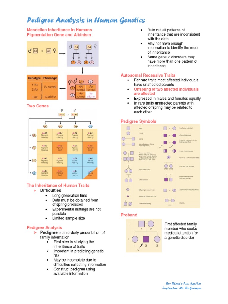 Pedigree Analysis in Human Genetics | PDF | Dominance (Genetics) | Zygosity