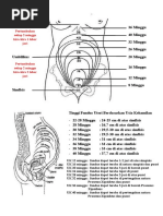 Lingkar Perut Normal Anak Berdasarkan Usia | PDF | Gaya Hidup