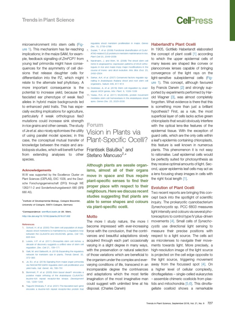 Vision in Plants Via Plant-Specific Ocelli?: Forum | PDF | Eye | Leaf