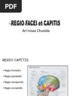 Regio Kepala Dan Leher Anatomi Topografi | PDF