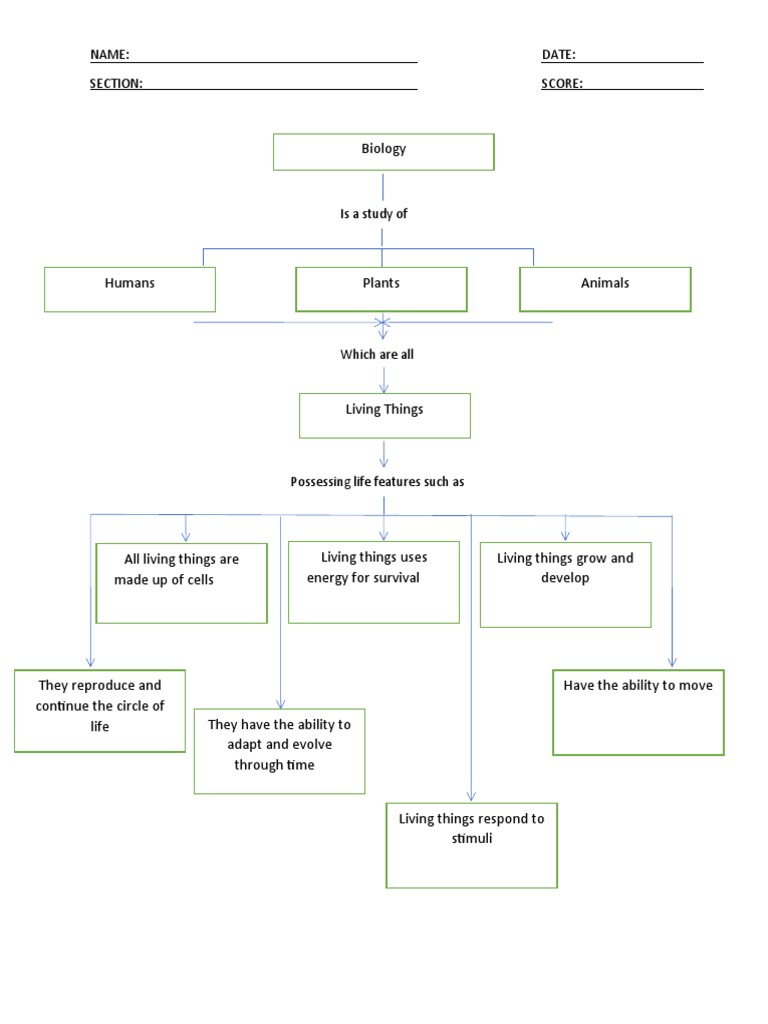Worksheet (Concept Map) (1) Science | PDF | Life | Life Sciences