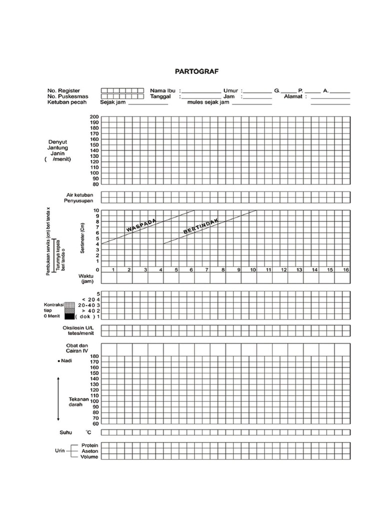 Partograf Persalinan | PDF