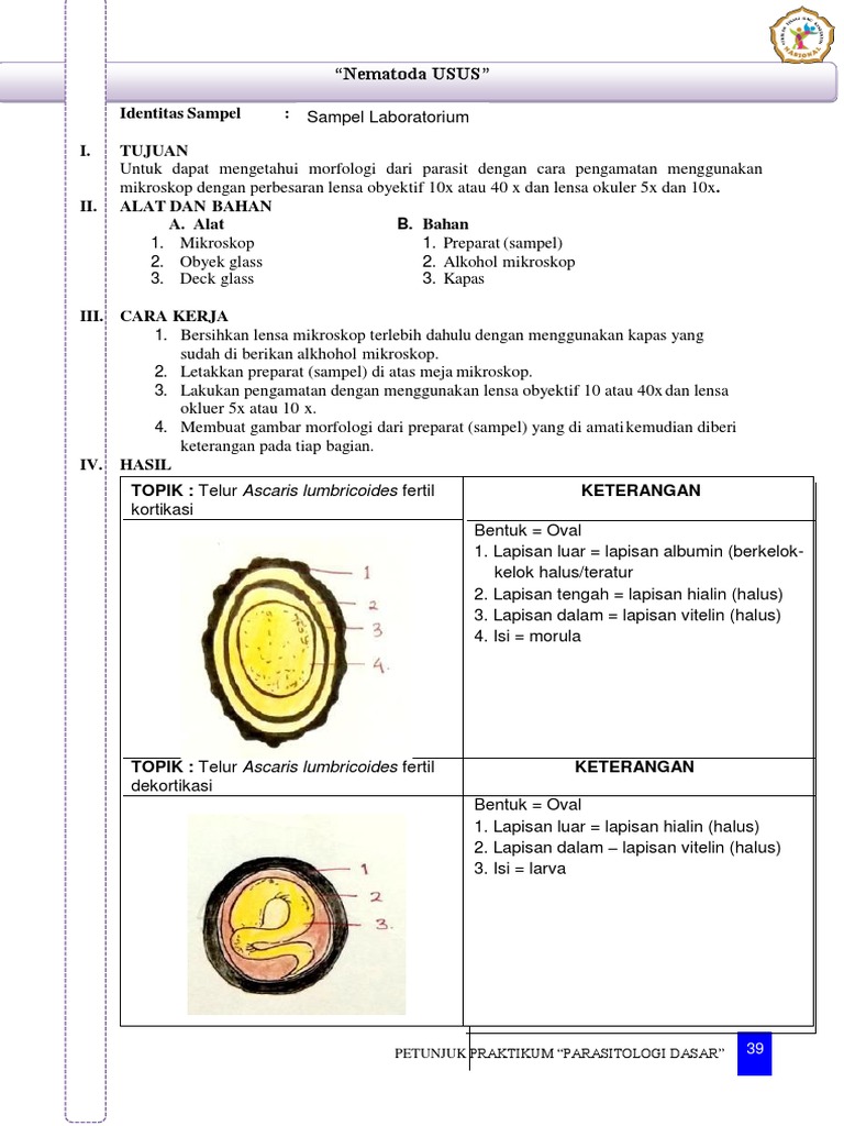 Morfologi Nematoda Usus dalam Parasitologi | PDF