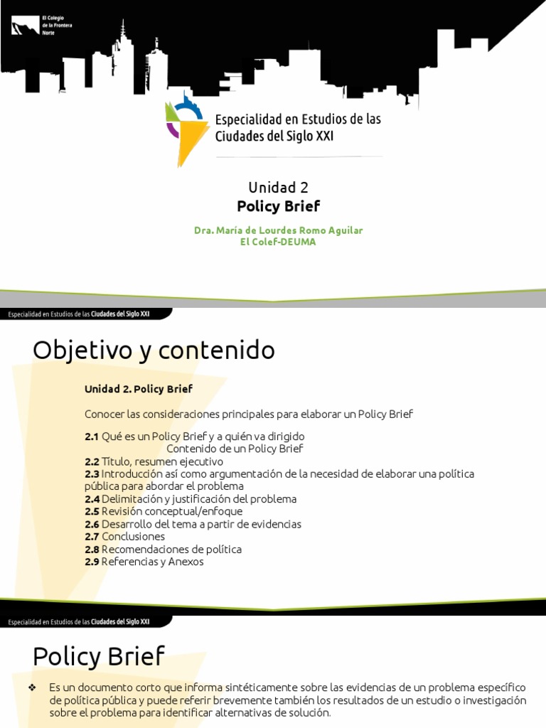 Guía para elaborar un Policy Brief | PDF