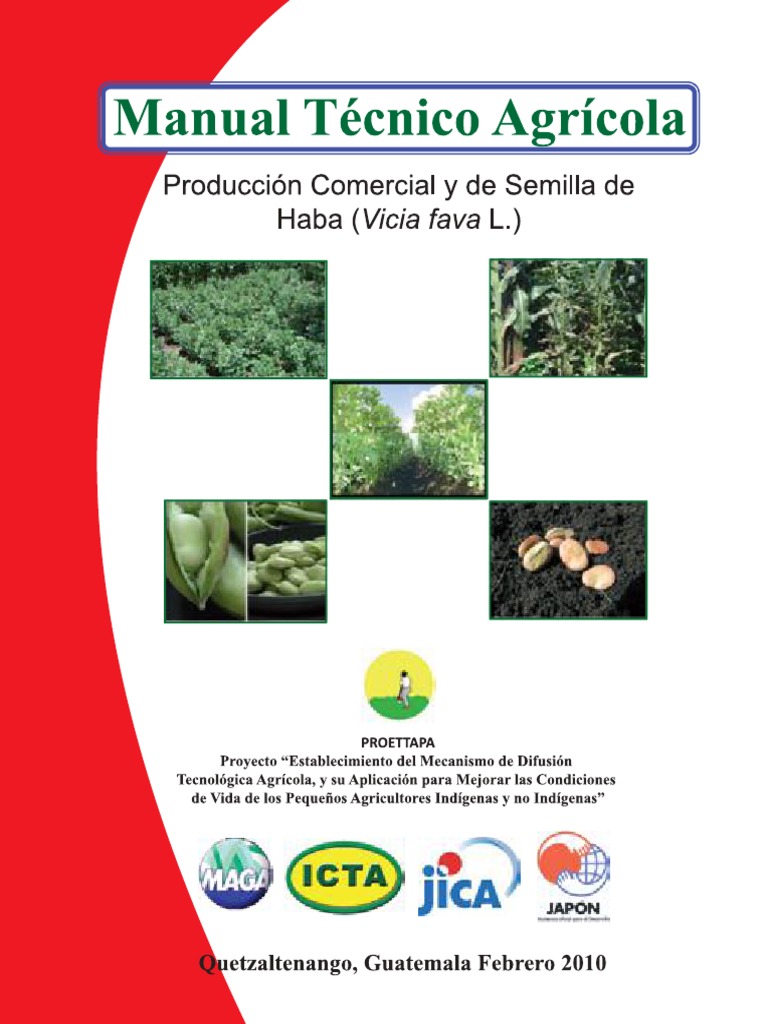 Producción y Semilla de Haba en Guatemala | PDF | Siembra | Germinación