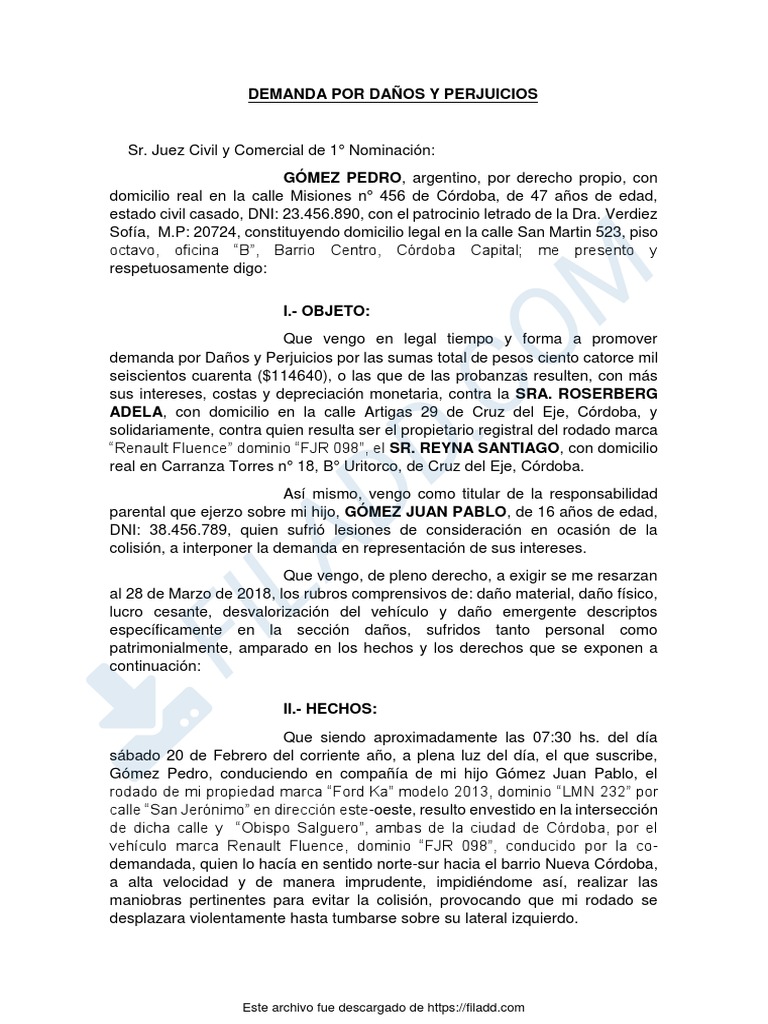 Ejemplo de Demanda Civil en Argentina | PDF | Demanda judicial ...
