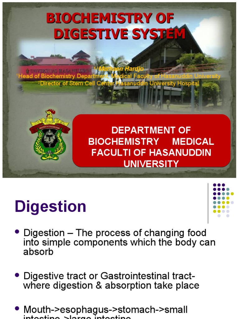 Biochemistry of Digestive System | PDF | Stomach | Bile