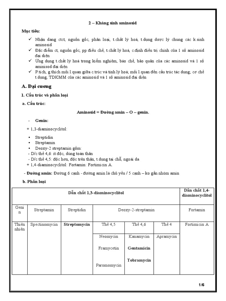2-Kháng Sinh Aminosid | PDF
