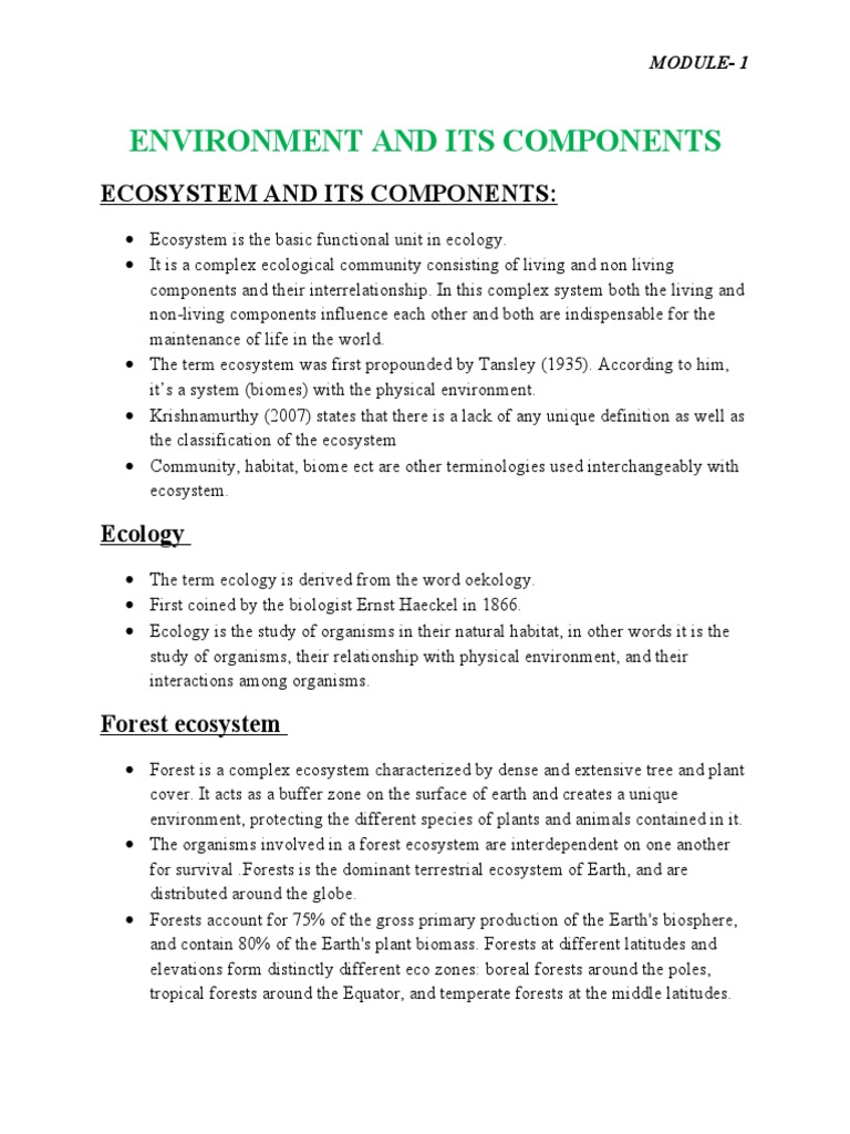 Environment and Its Components | PDF | Atmosphere Of Earth | Greenhouse Gas