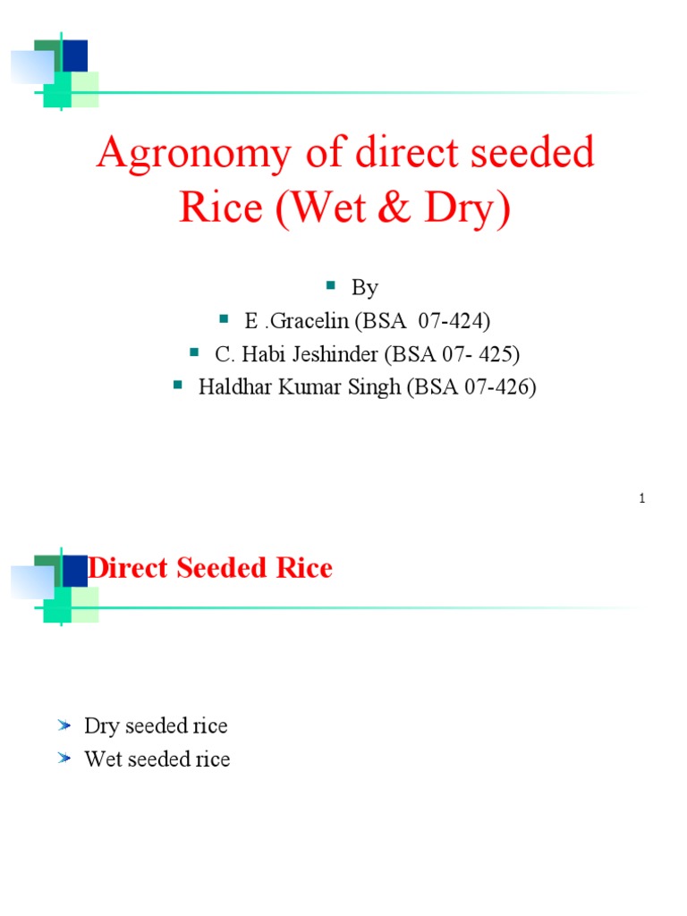 Direct Seeded Rice: Methods & Benefits | PDF | Seed | Rice