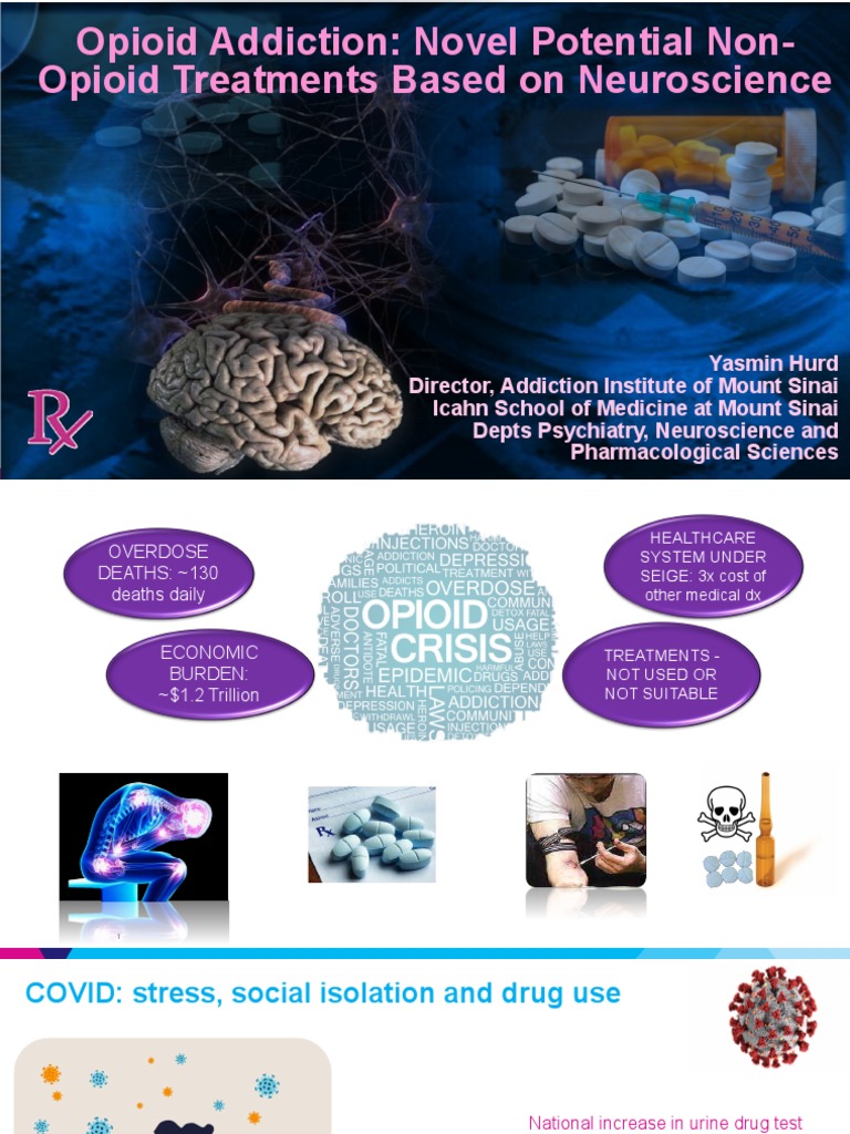 Yasmin Hurd | PDF | Opioid | Reward System