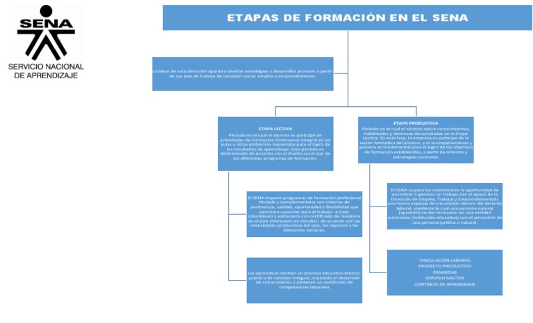 Mapa Conceptual Etapas de Formacion Sena | PDF | La naturaleza humana | Enseñando y aprendiendo