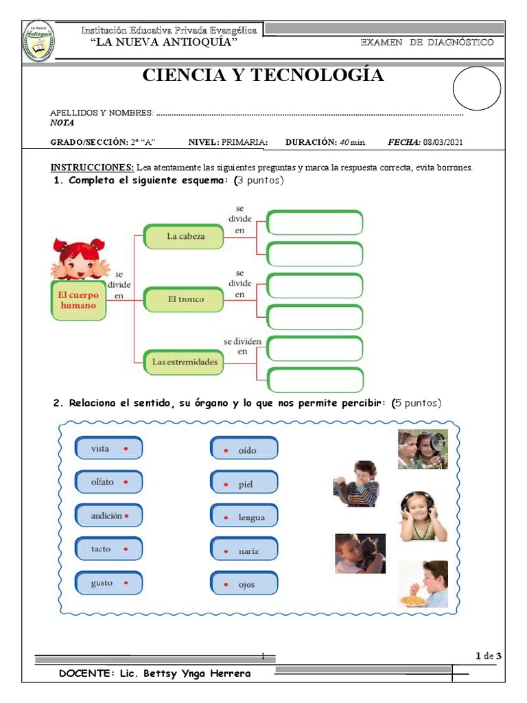 Prueba de Diagnostico CT 2do Grado | PDF | Ciencia y matemáticas