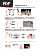 Kinesiology Flashcards, 3E - Lippert, Lynn S., Minor, Mary Alice ...