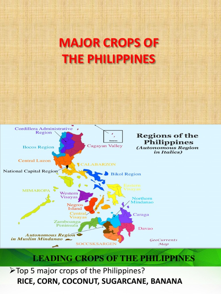 Major Crops in the Philippines by Region | PDF | Agriculture | Agronomy