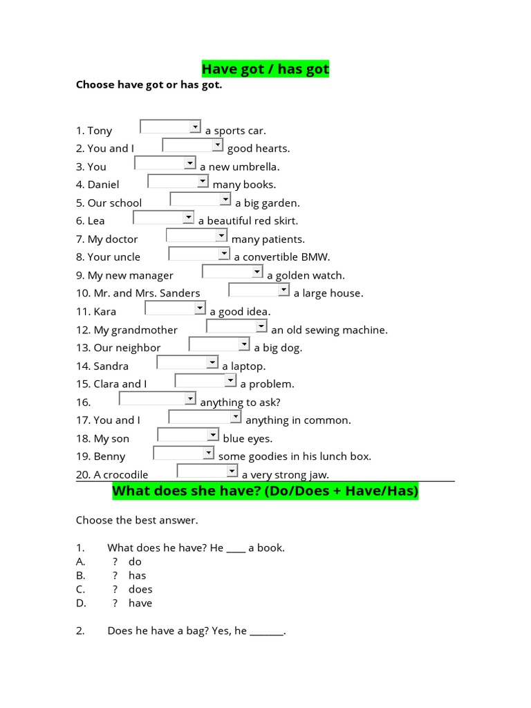 Have Got vs Has Got | PDF