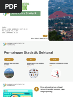 Panduan Penggunaan Web HALOSIS BPS | PDF | Komputer