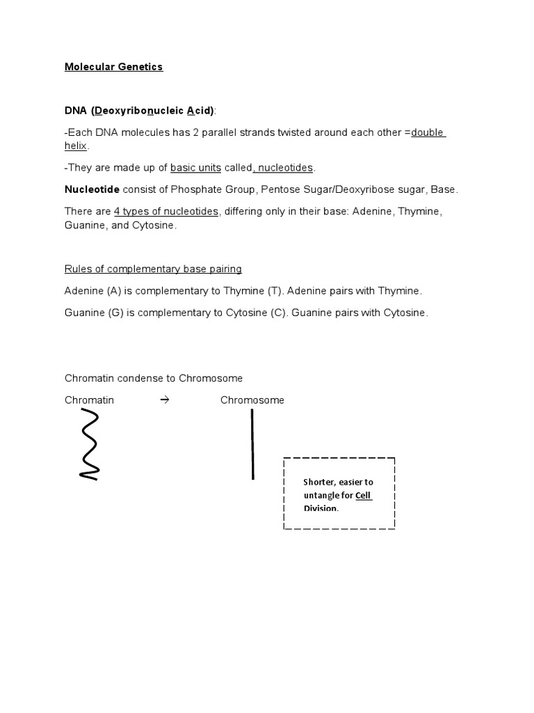 Molecular Genetics | PDF