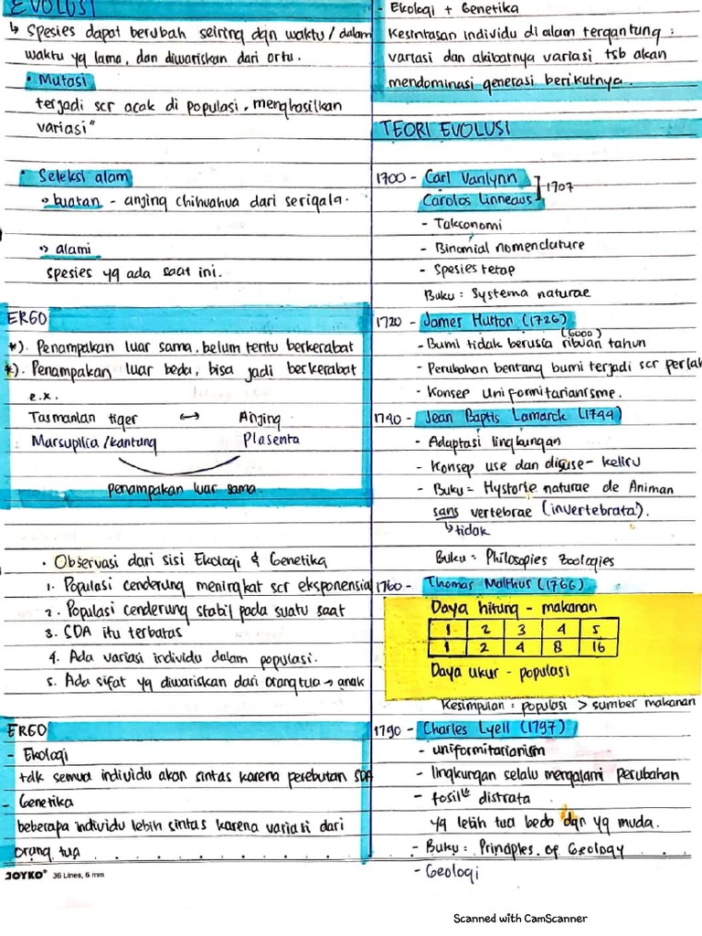 Ringkasan N Latsol Zen Evolusi @gee | PDF