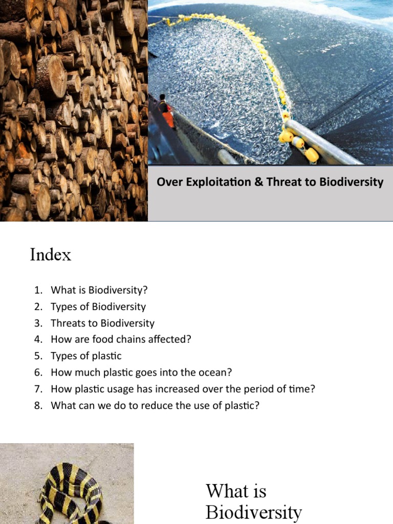 Over Exploitation & Threat To Biodiversity | PDF | Environmental Issues ...