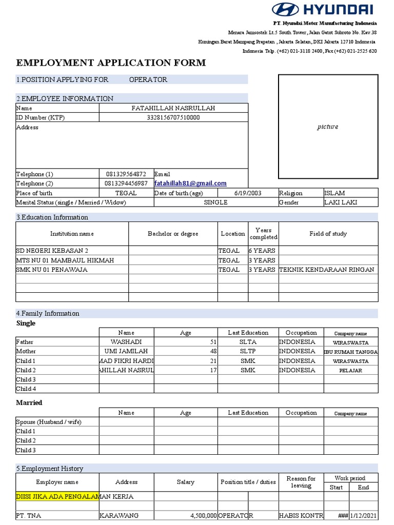Hyundai Employment Application Form | PDF | Social Institutions ...