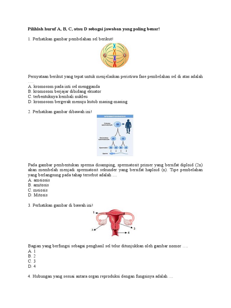 Soal UMBK - 2021 | PDF