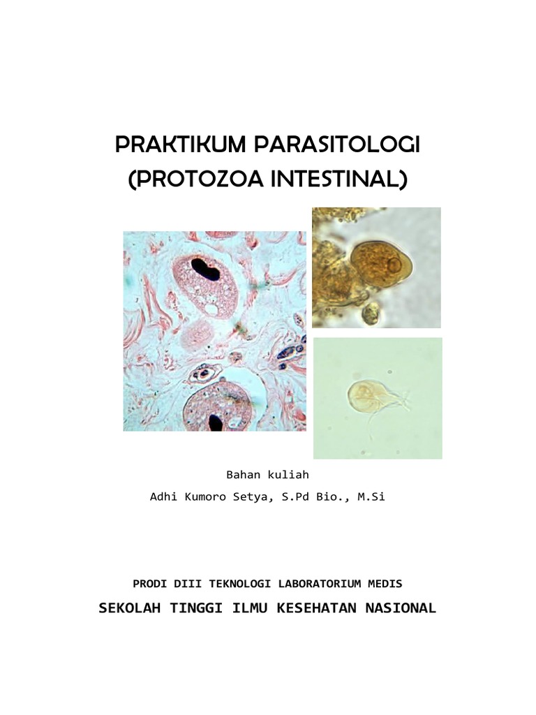 Praktikum Identifikasi Parasit Usus | PDF