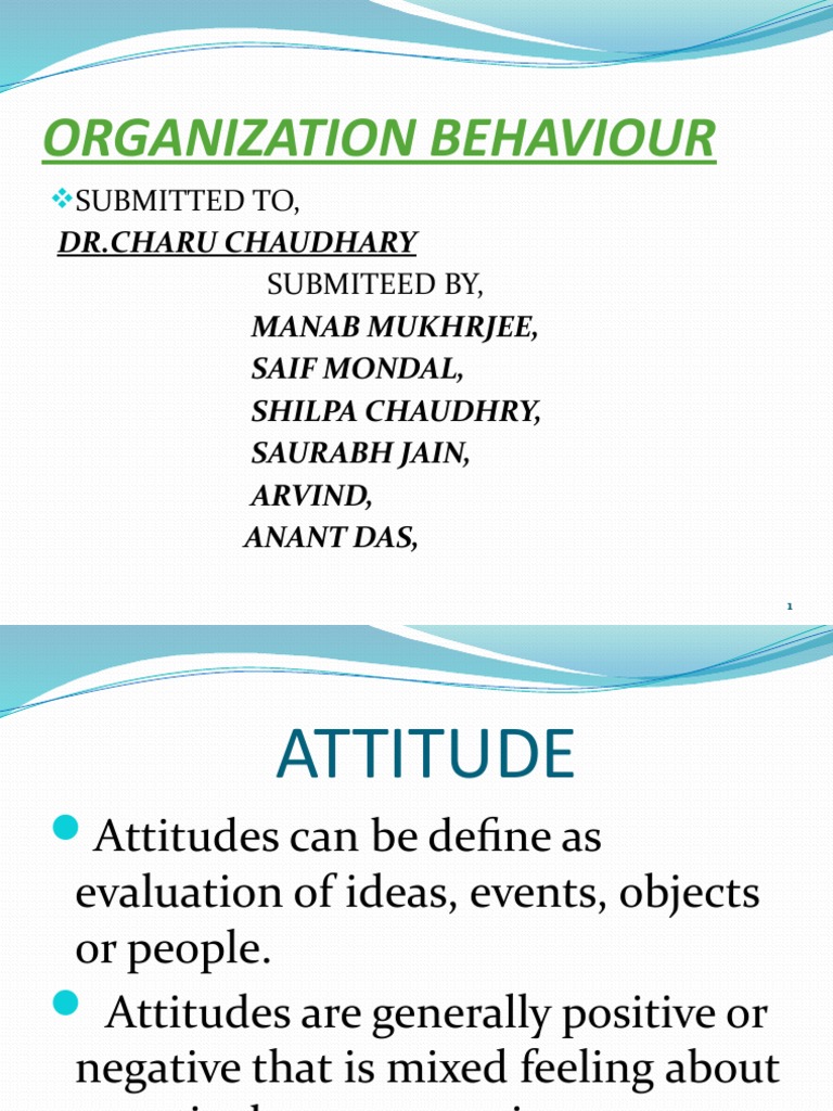 Organisation Behaviour | PDF | Attitude (Psychology) | Job Satisfaction