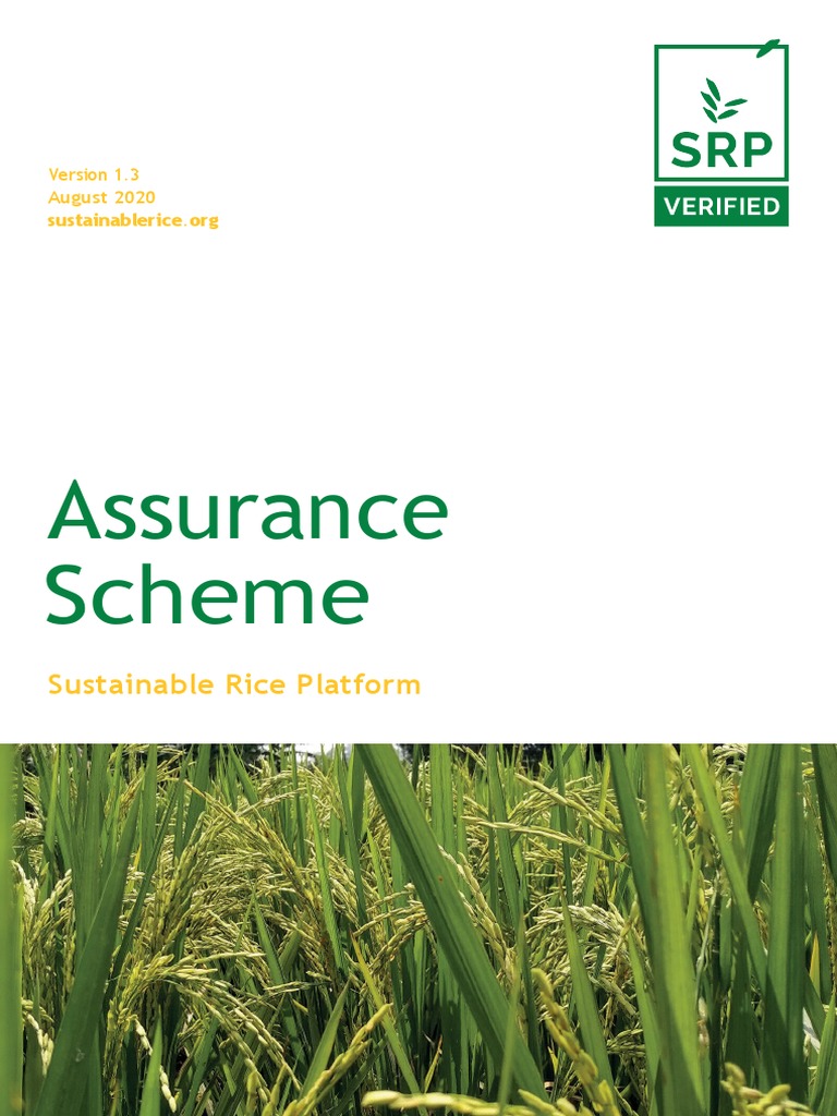 SRP Assurance Scheme V 1.3 (Final) | PDF | Verification And Validation ...