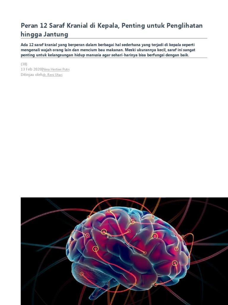 Peran 12 Saraf Kranial Di Kepala | PDF