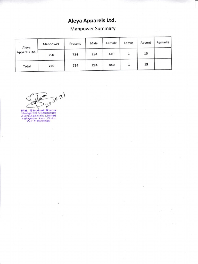 Manpower Summary | PDF
