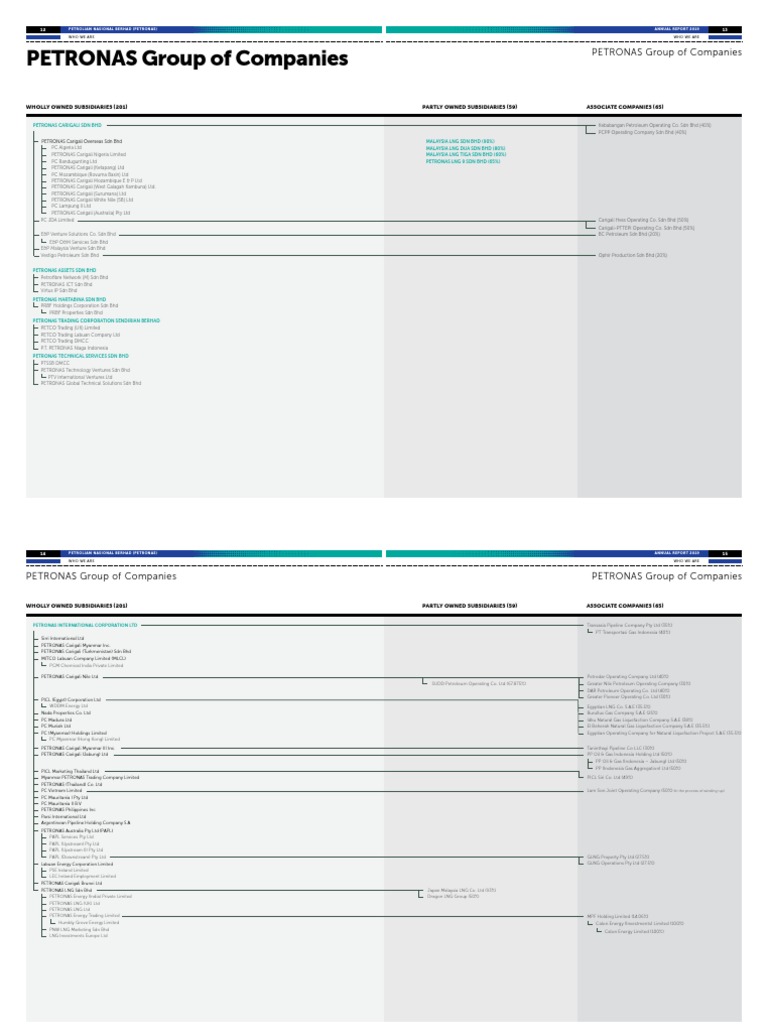 PETRONAS Group of Companies 2019 | PDF | Natural Gas | Energy Industry
