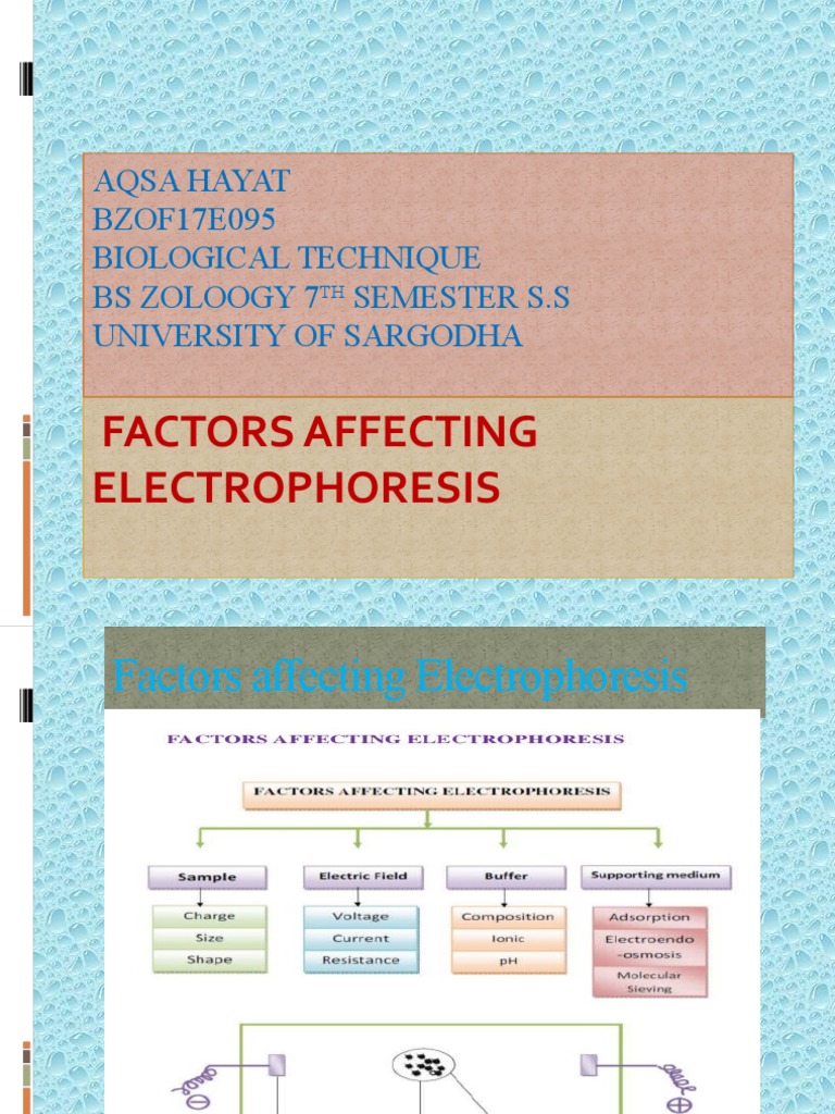 Factors Affecting Electrophoresis | PDF | Gel Electrophoresis ...