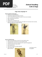 Dog Body Language | PDF