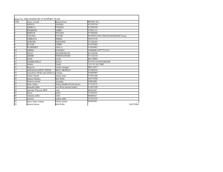 Zone Cell Phone | PDF