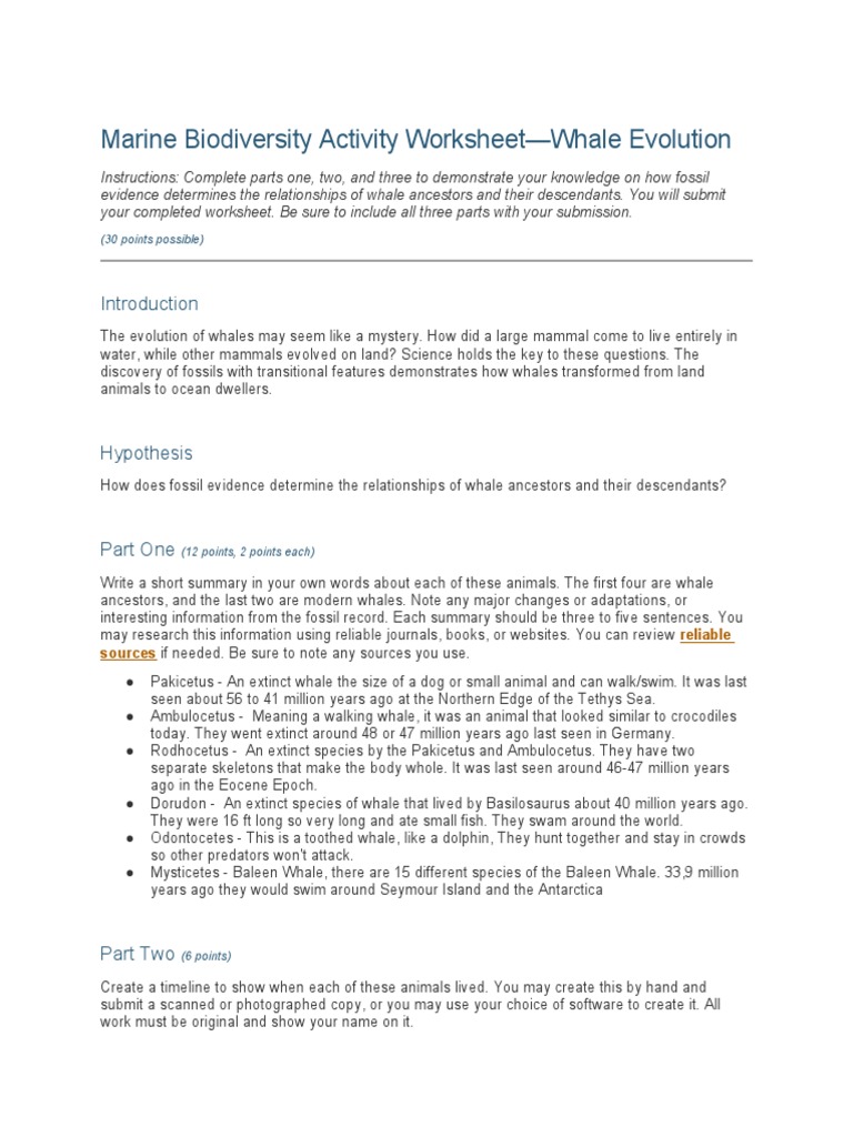 Marine Biodiversity Activity Worksheet-Whale Evolution: (30 Points ...