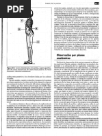 Chair Stand Test | PDF | Pie