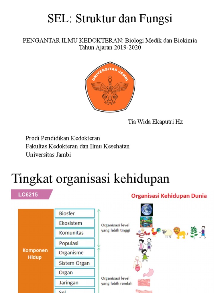 Sel, Struktur, Dan Function | PDF