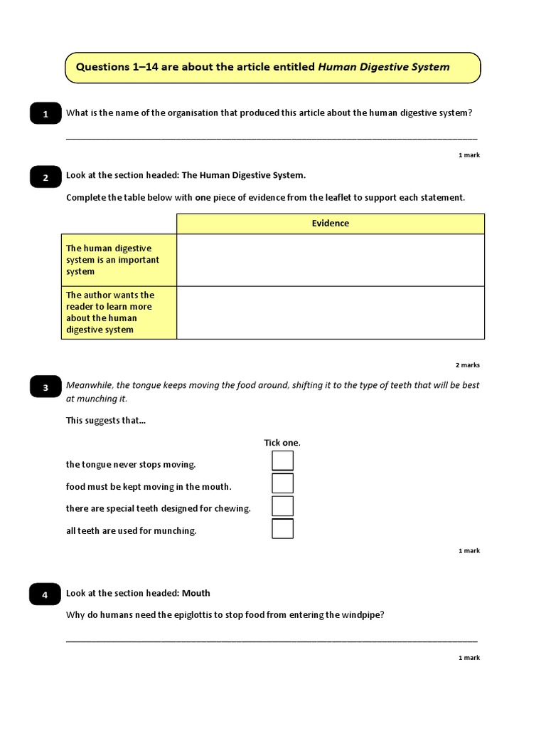Digestive System Overview and Insights | PDF | Human Digestive System ...