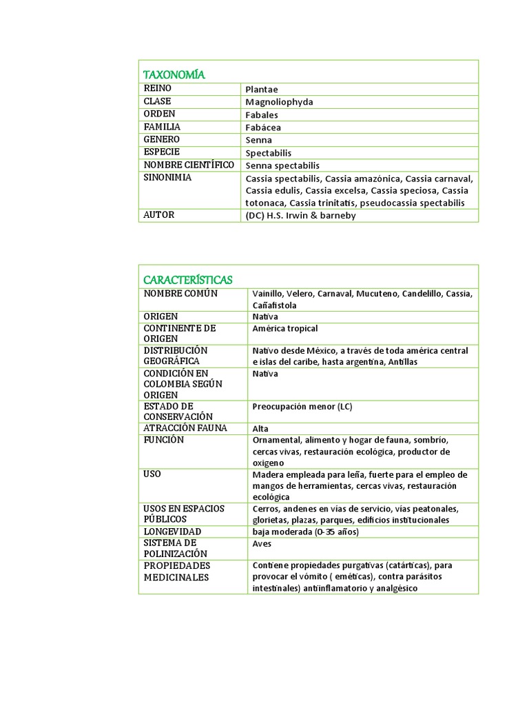 Vainillo | PDF | Hoja | Arboles