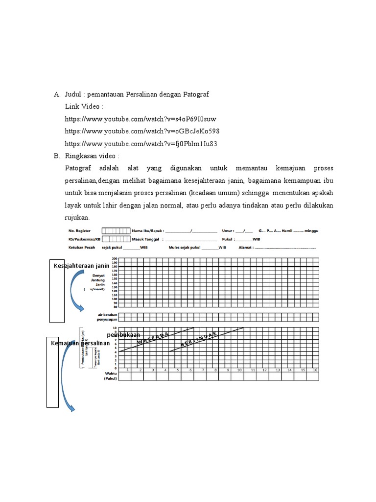11,12,13 Patograf | PDF