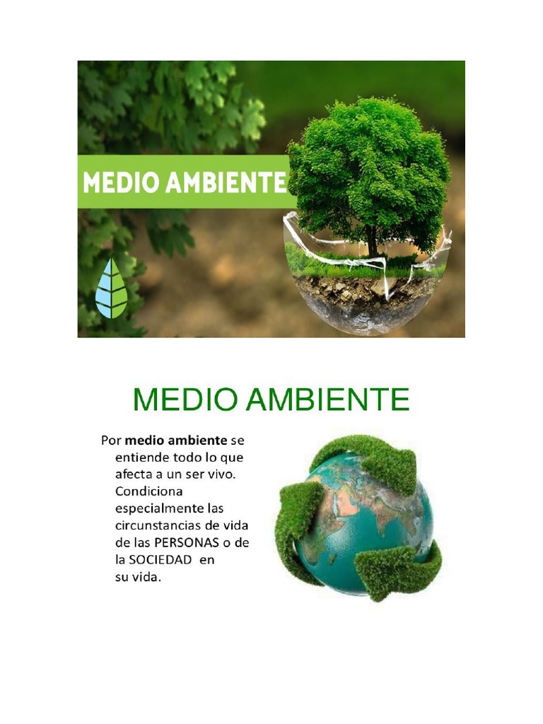 Clase 3 Medio Ambiente | PDF | Ecología | Población